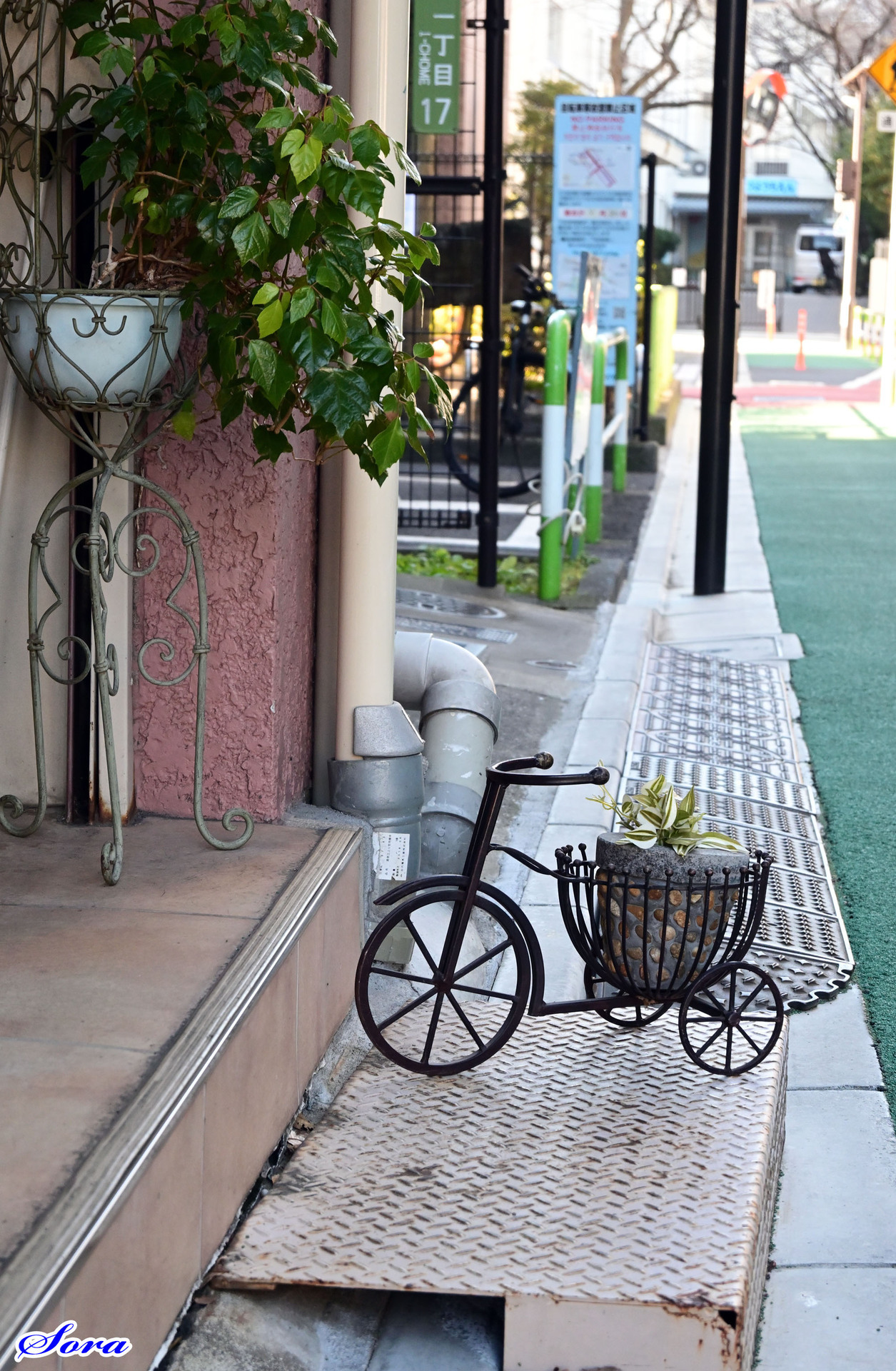 変化なのか。: 陽だまりの中で。